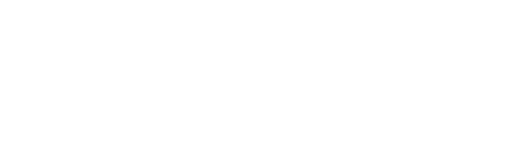 Smartnet - High Performance Network Infrastructure